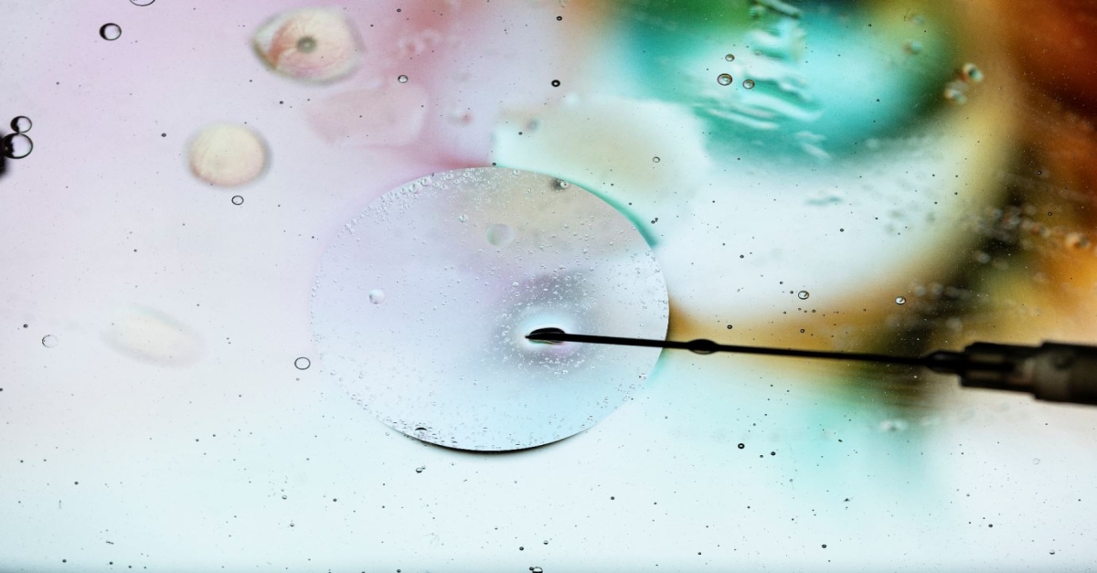 Forte hausse des demandes de PMA